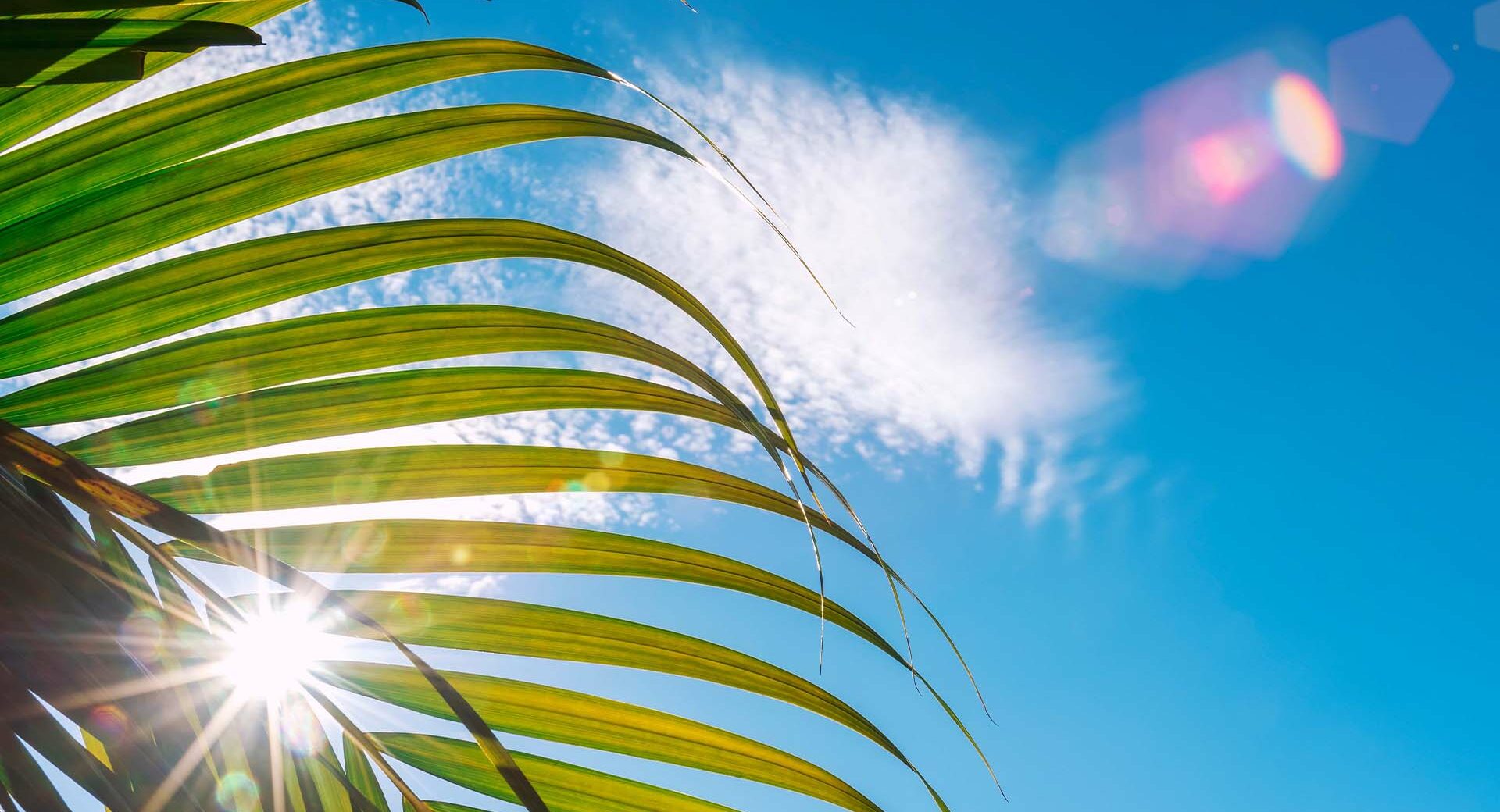 Maximizing Your Spring/Summer Move | Maffucci Moving