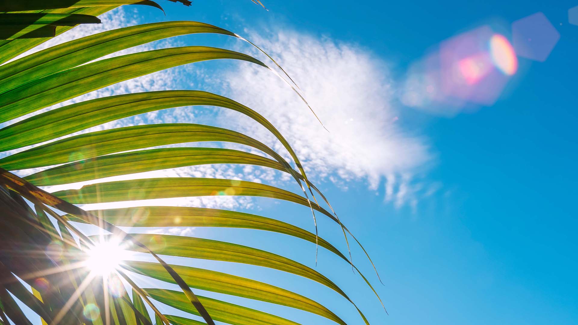 Maximizing Your Spring/Summer Move | Maffucci Moving